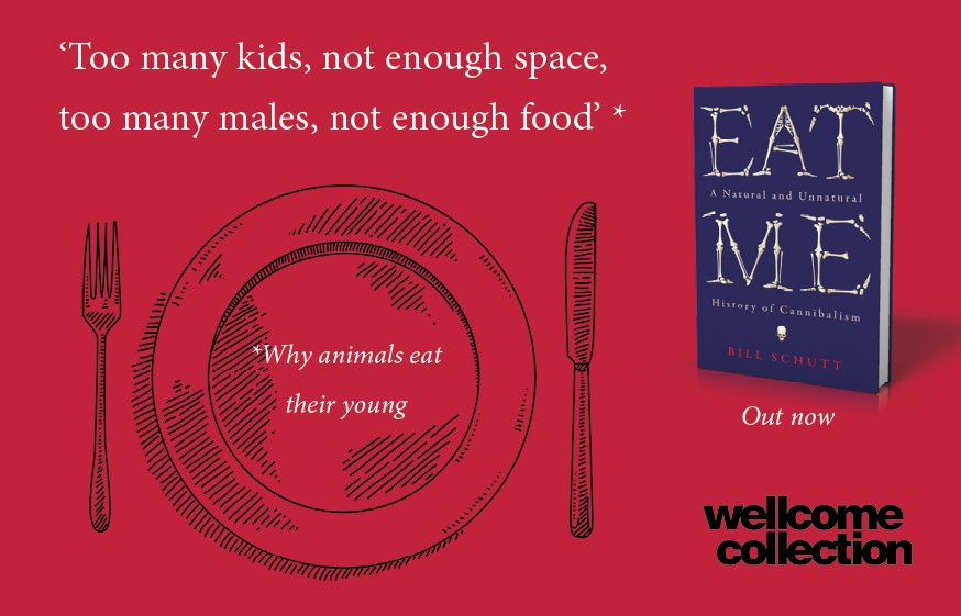Eat Me: A Natural and Unnatural History of Cannibalism – Bill Schutt ...